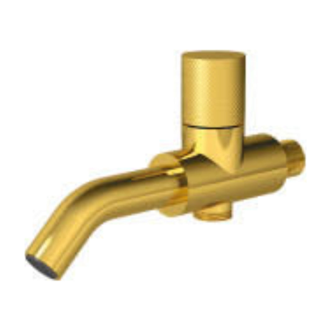 Colston Gold 2 Way Bib Tap – Decure.in